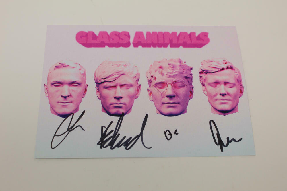 GLASS ANIMALS COMPLETE X4 SIGNED AUTOGRAPH 8X10 PHOTO - HOW TO BE A ...