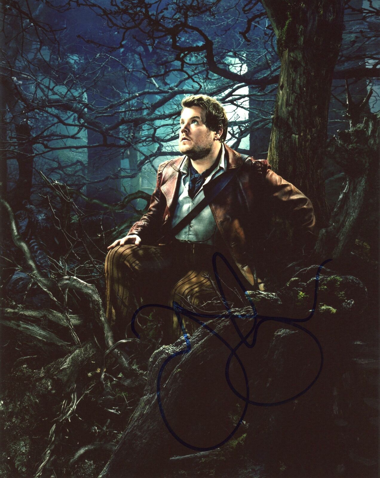 James Corden "Into the Woods" AUTOGRAPH Signed 8x10 Photo ACOA ...
