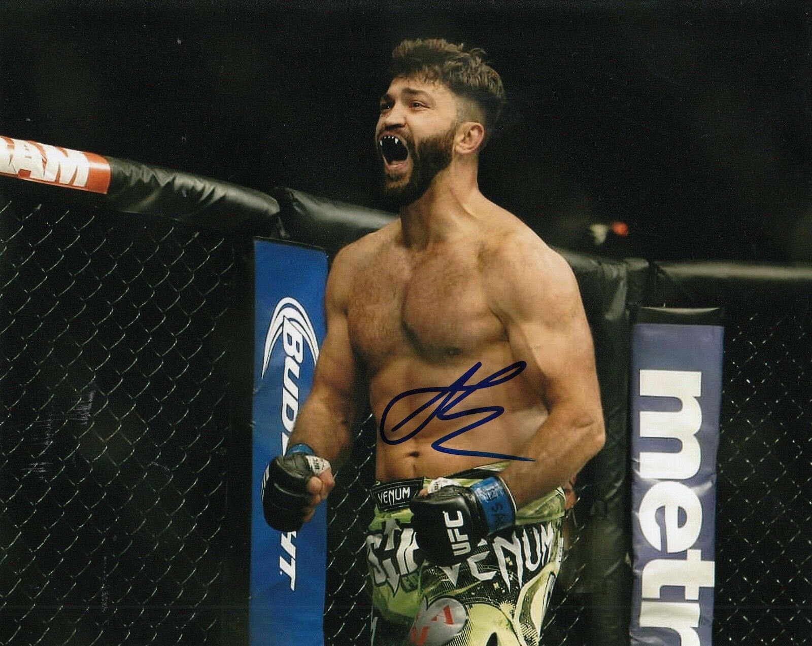 ANDREI "THE PITBULL" ARLOVSKI signed (UFC) MMA FIGHTING 8X10 photo W ...