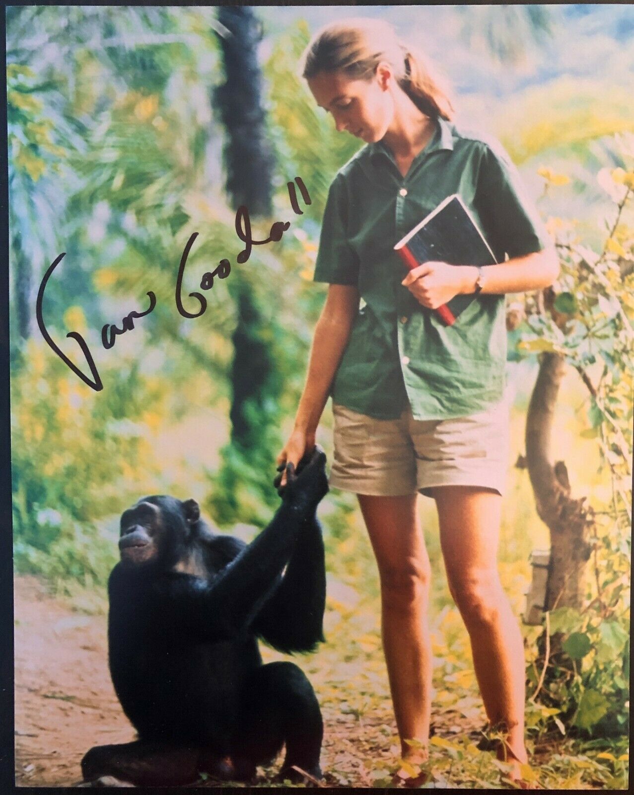 JANE GOODALL SIGNED AUTOGRAPHED 8X10 PHOTO - VERY RARE LEGENDARY APE ...