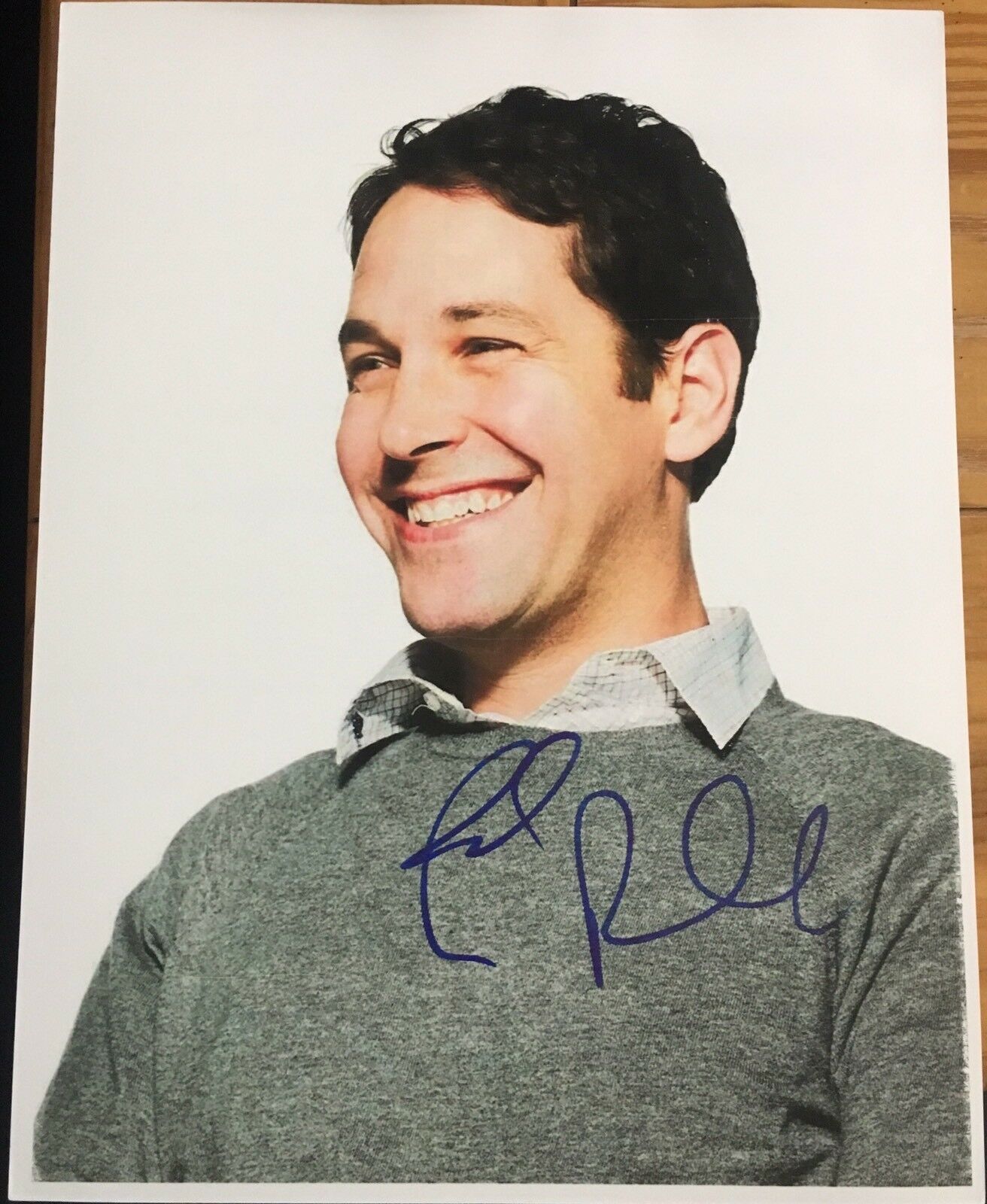 PAUL RUDD SIGNED AUTOGRAPH CLASSIC POSE ANTMAN STUD RARE 8x10 PHOTO ...