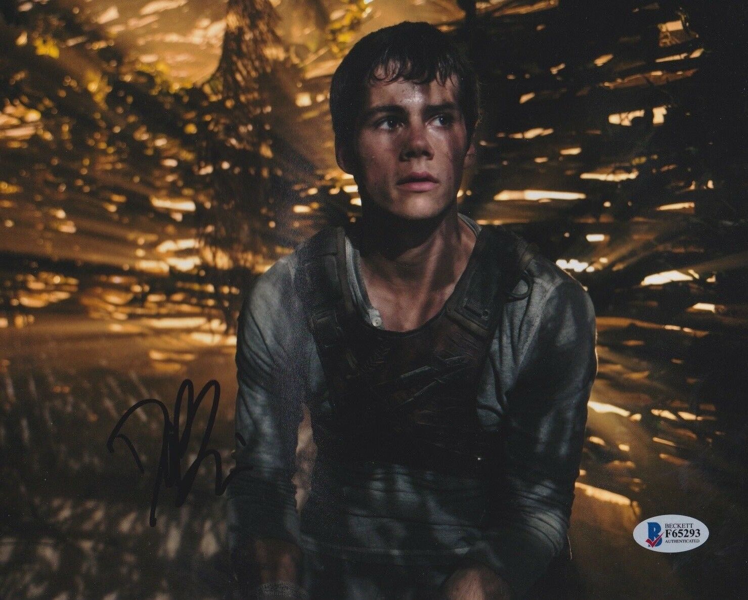 DYLAN O'BRIEN SIGNED 8X10 PHOTO MAZE RUNNER BECKETT BAS AUTOGRAPH AUTO ...
