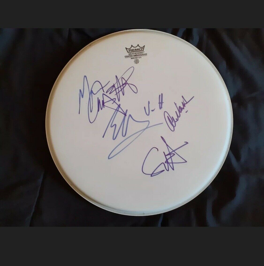 EDDIE VAN HALEN FULL BAND X4 SIGNED AUTOGRAPH VERY RARE NEW DRUMHEAD REAL COA Collectible ...