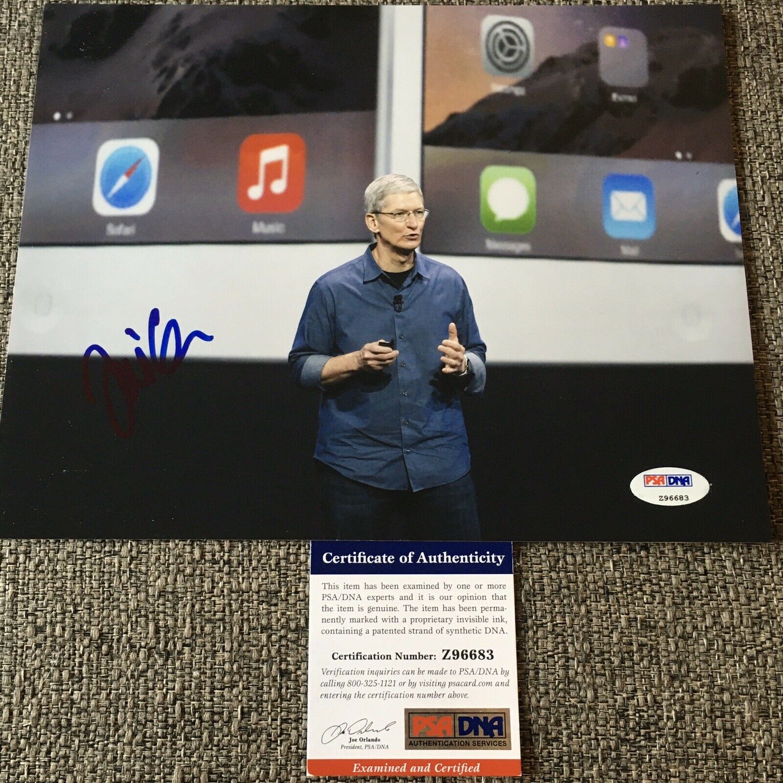 TIM COOK SIGNED AUTOGRAPH EXTREMELY RARE APPLE 8x10 PHOTO STEVE JOBS ...