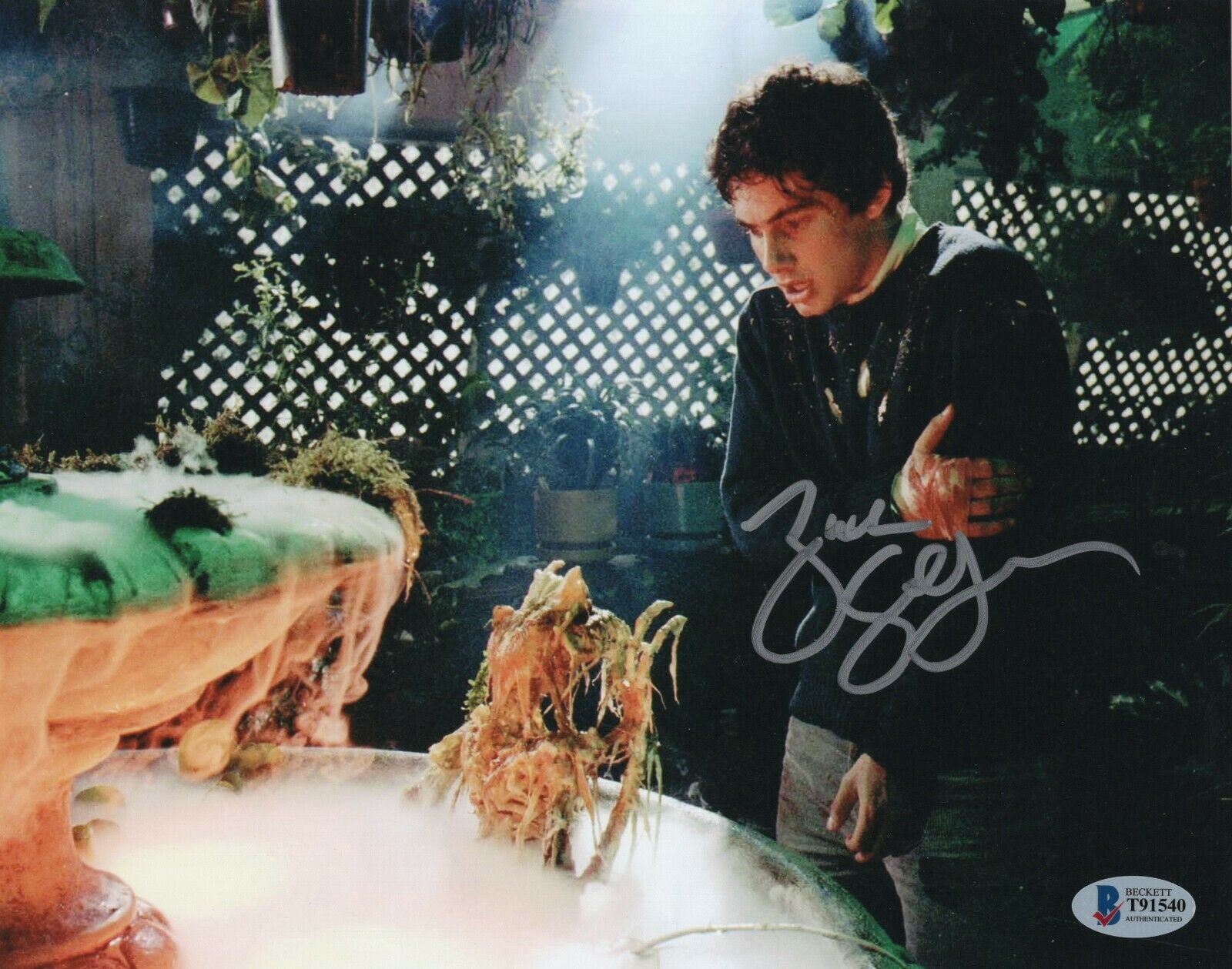 Zach Galligan Gremlins Billy Peltzer Signed 8x10 Photo w/Beckett COA ...
