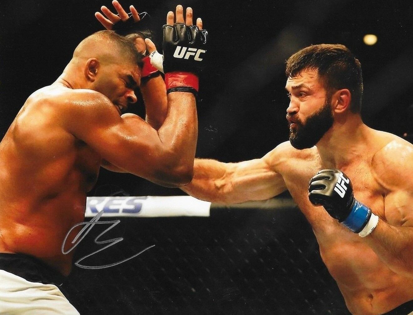 Andrei Arlovski signed UFC 8x10 photo autographed The Pitbull 6 ...