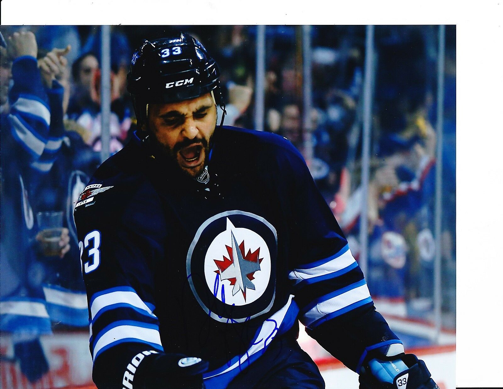 WINNIPEG JETS DUSTIN BYFUGLIEN SIGNED GOAL CELEBRATION 8X10 Collectible ...