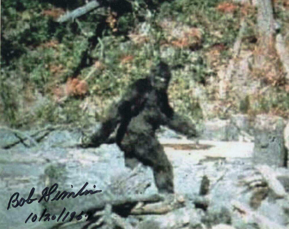 BOB GIMLIN SIGNED AUTOGRAPH 8X10 PHOTO - PATTERSON-GIMLIN FILM PGF ...