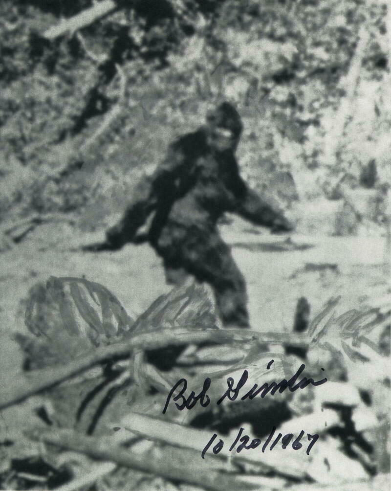BOB GIMLIN SIGNED AUTOGRAPH 8X10 PHOTO - PATTERSON-GIMLIN BIGFOOT ...