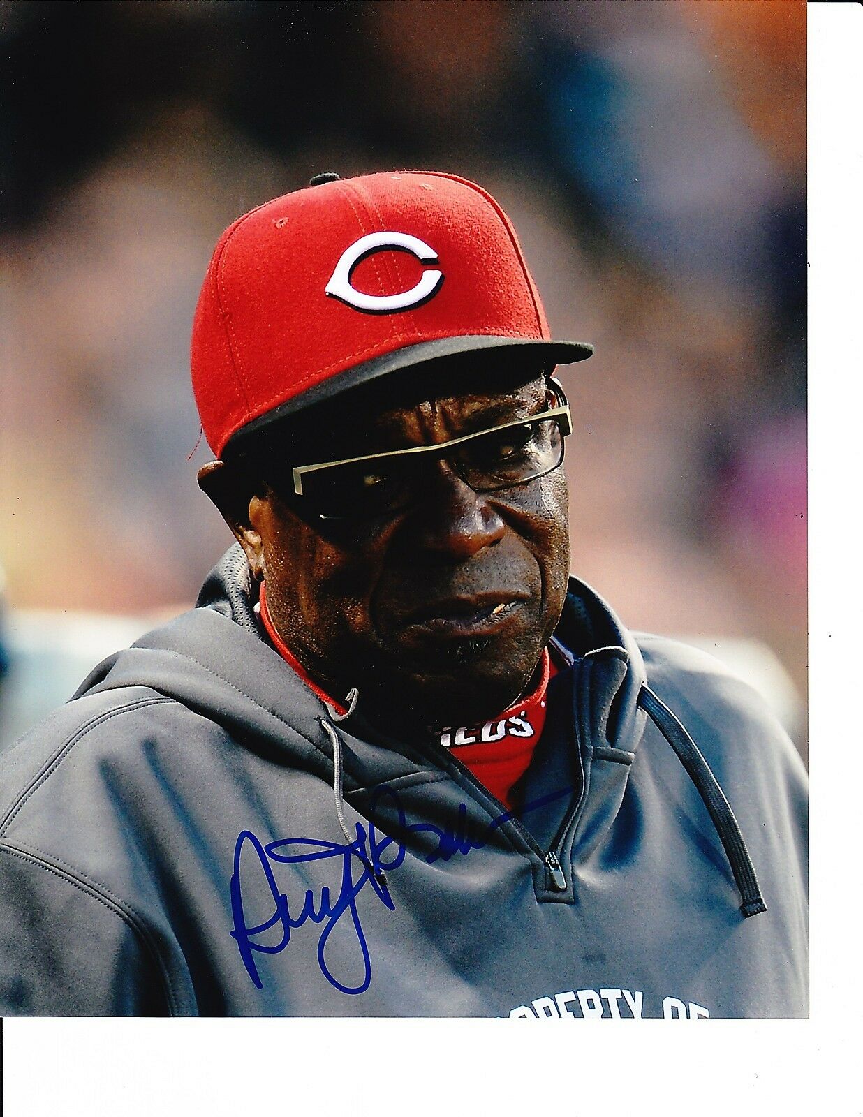 CINCINNATI REDS DUSTY BAKER SIGNED IN DUGOUT 8X10 Collectible ...