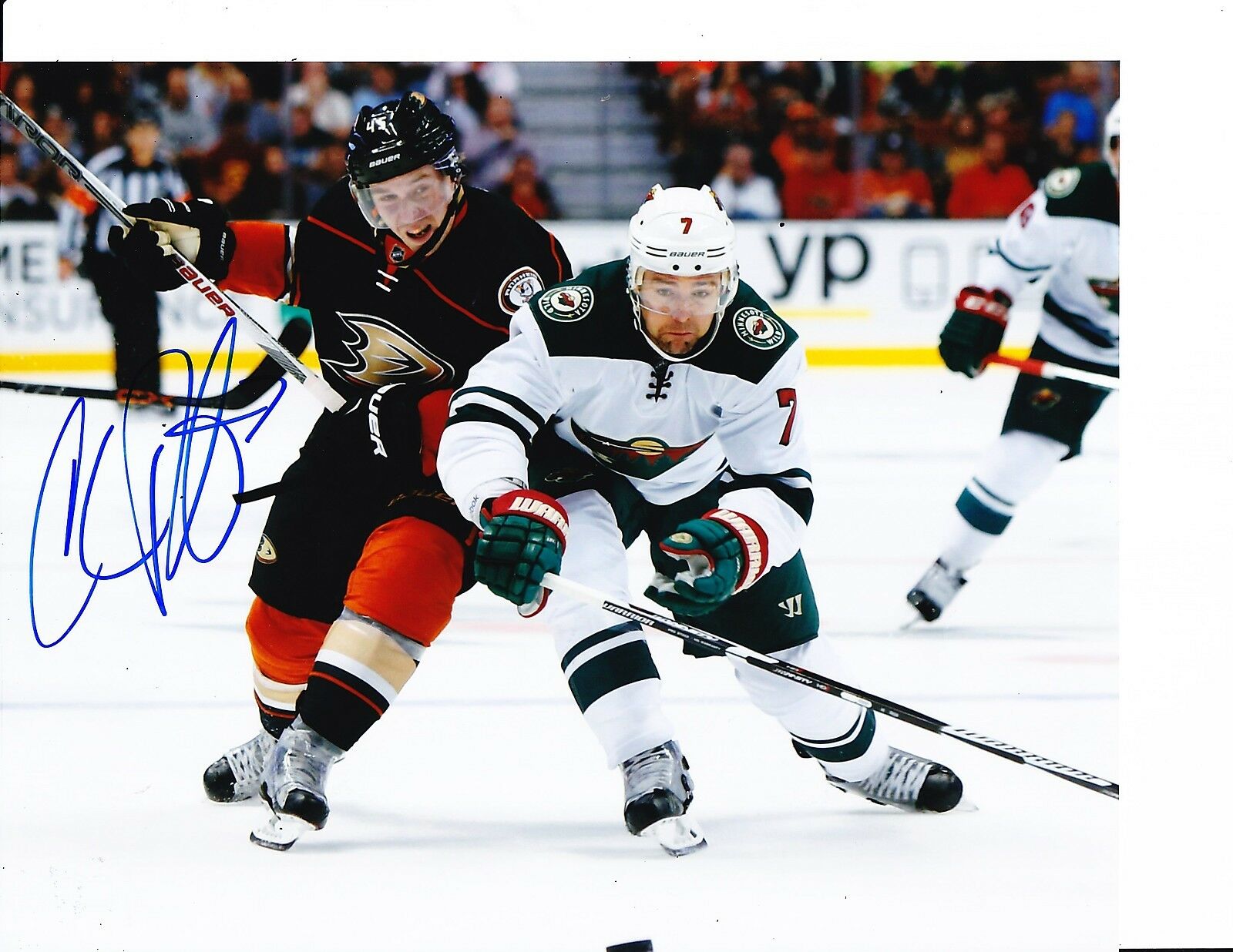 MINNESOTA WILD CHRIS PORTER SIGNED BATTLING 8X10 Collectible ...