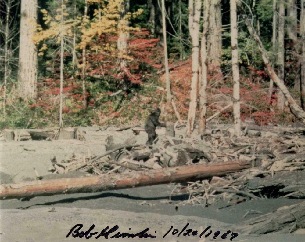BOB GIMLIN SIGNED AUTOGRAPH 8X10 PHOTO - PATTERSON FILM, PGF BIGFOOT ...