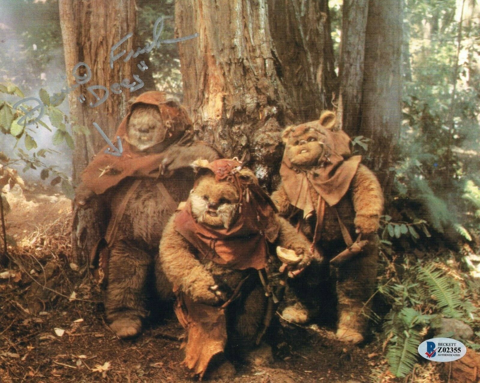 Daniel Frishman Signed Star Wars Ewok 8x10 Photo w/Beckett COA Z02355 ...