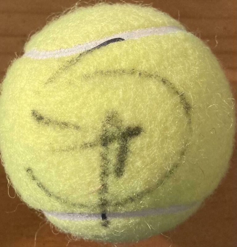 NOVAK DJOKOVIC SIGNED AUTOGRAPHED NEW TENNIS BALL CHAMPION LEGEND WITH ...