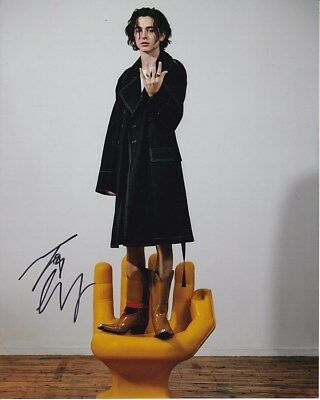 TIMOTHEE CHALAMET signed autographed photo | Autographia