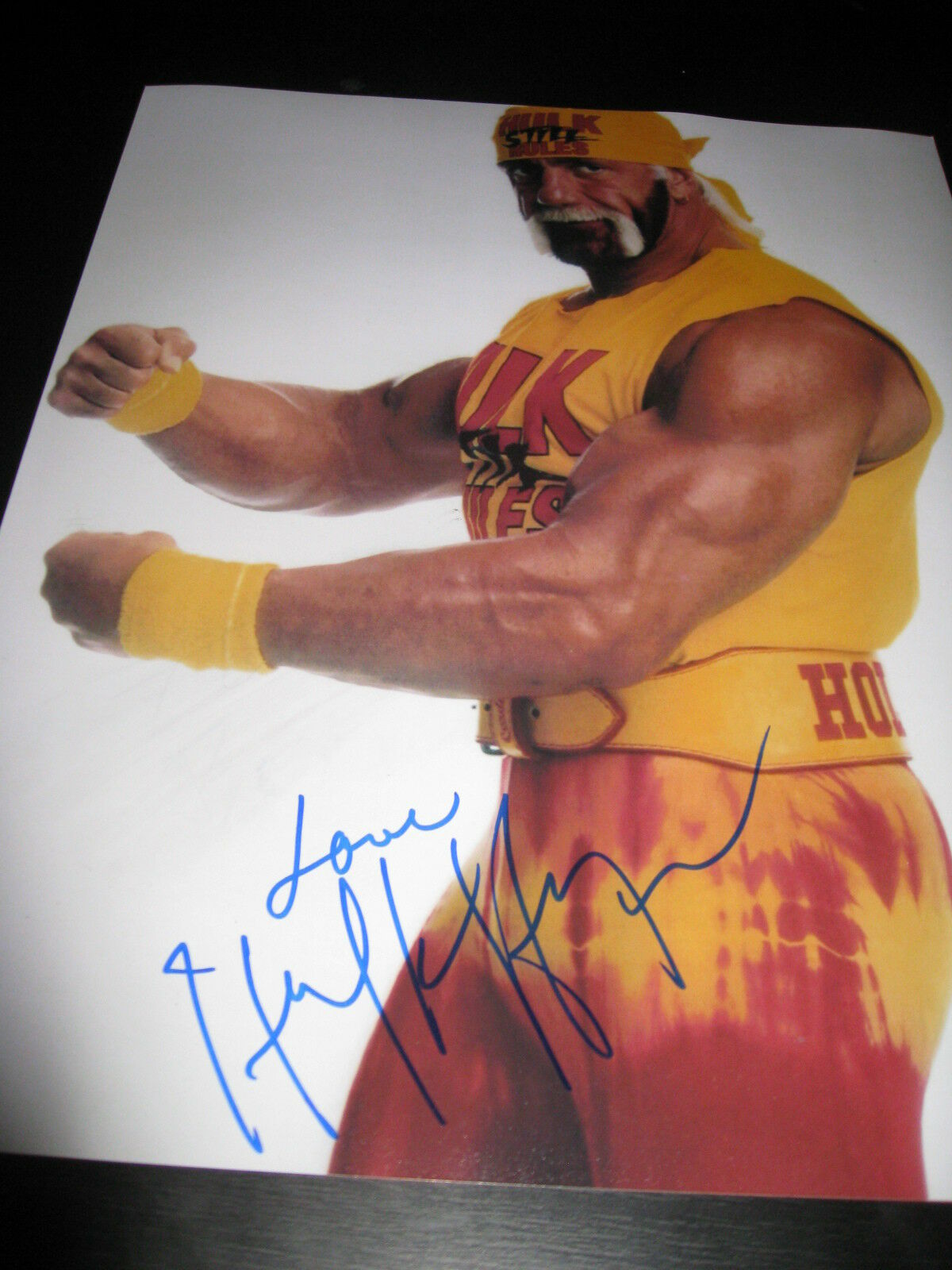 HULK HOGAN SIGNED AUTOGRAPH 11x14 PHOTO WWF WCW HOLLYWOOD HOGAN IN ...