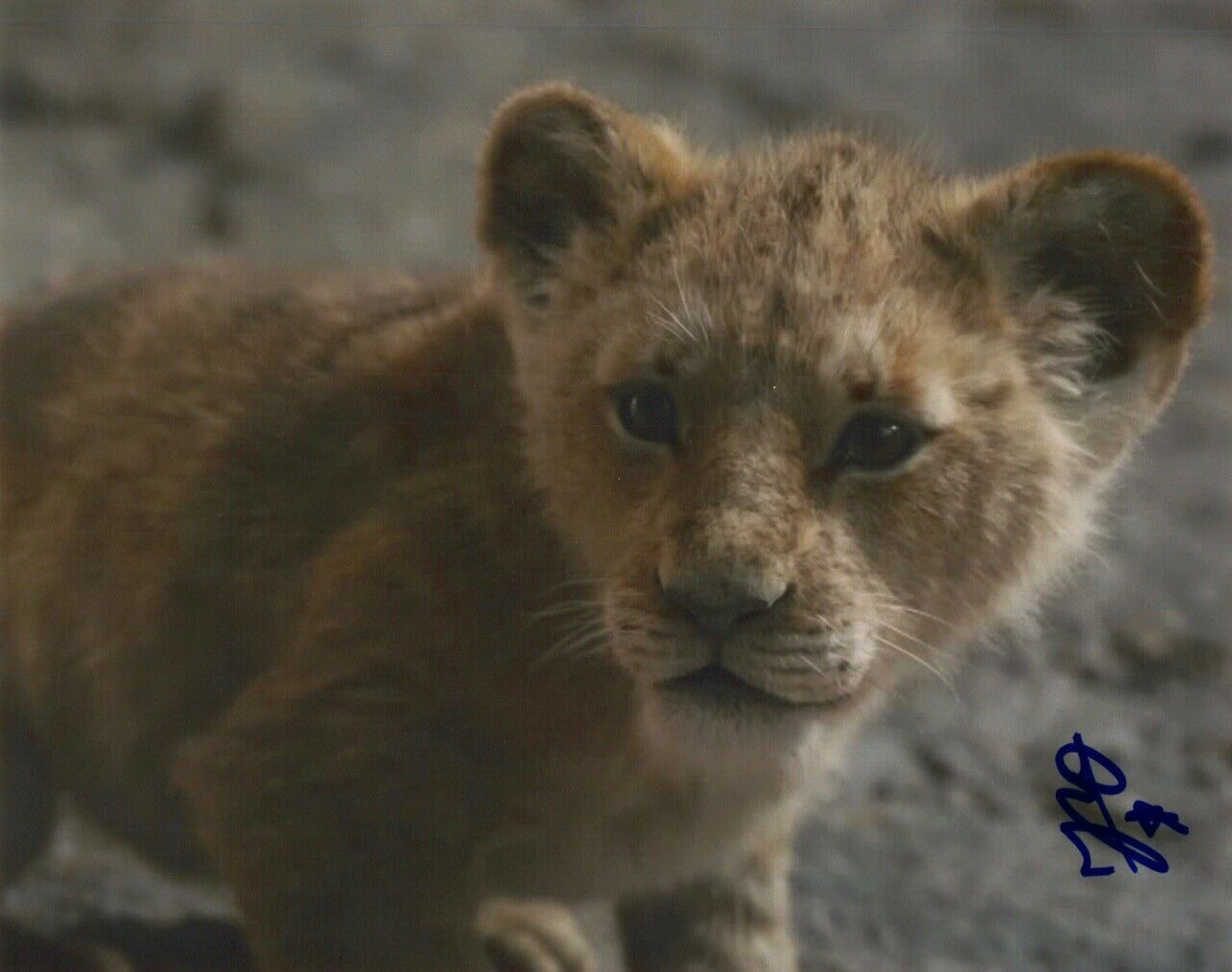 JD McCrary Signed Autographed 8x10 Photo The Lion King 2019 Young Simba ...