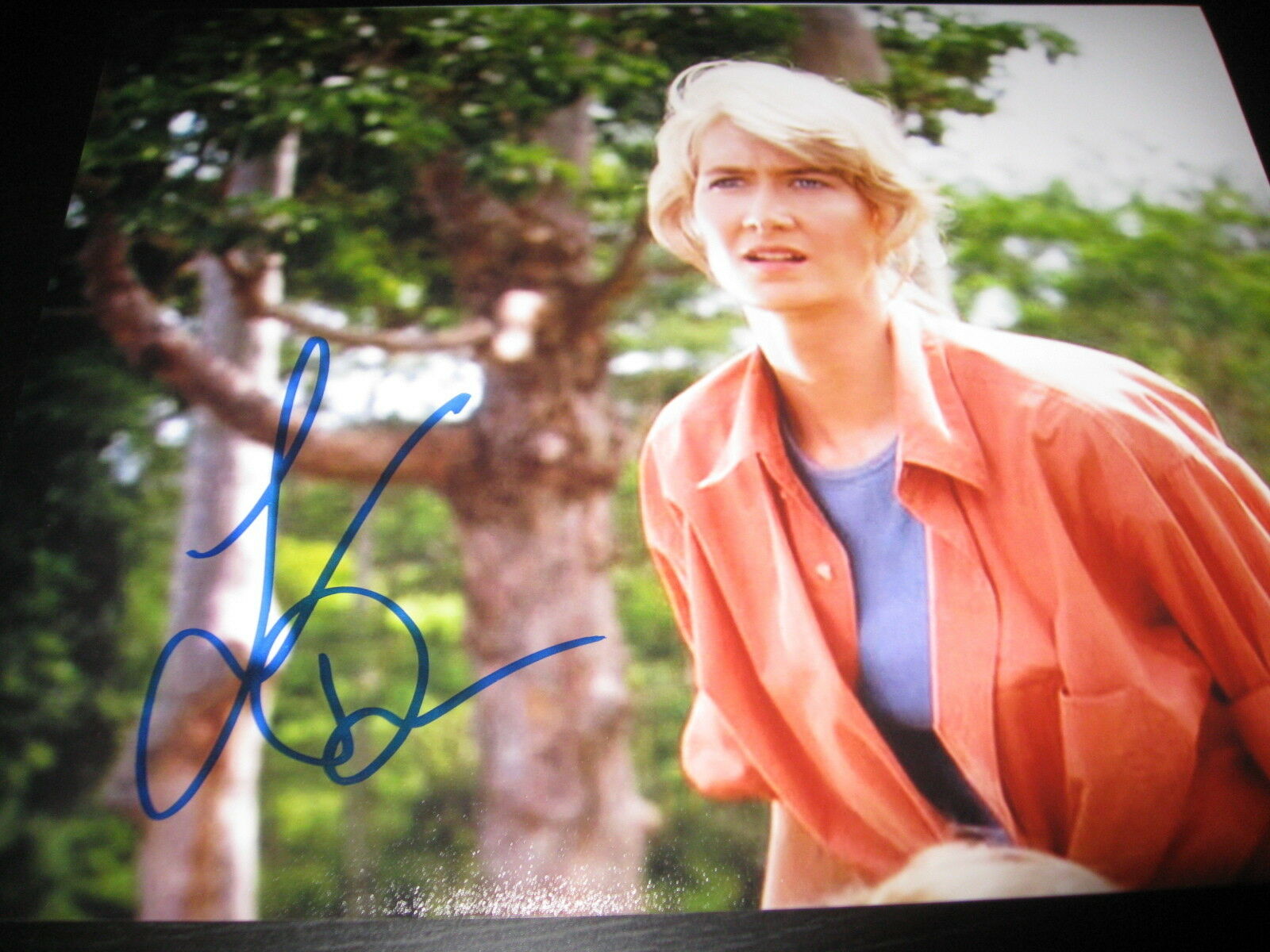 LAURA DERN SIGNED AUTOGRAPH 8x10 JURASSIC PARK PROMO PHOTO RARE COA ...
