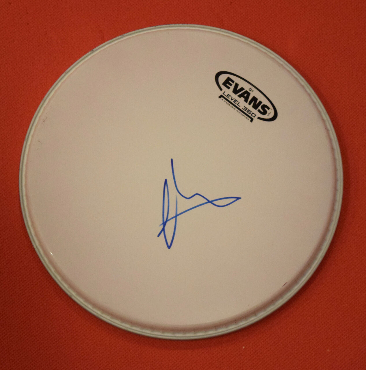 Matt Shultz Signed Autographed 10" Drumhead Lead Singer of Cage The ...