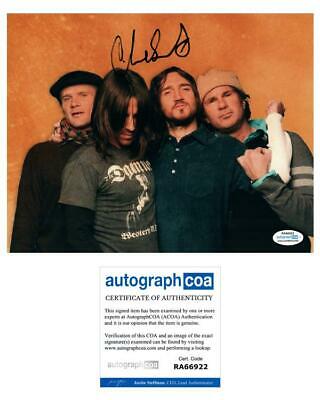 Red Hot Chili Peppers Chad Smith Autograph 8x10 Photo Californication ...