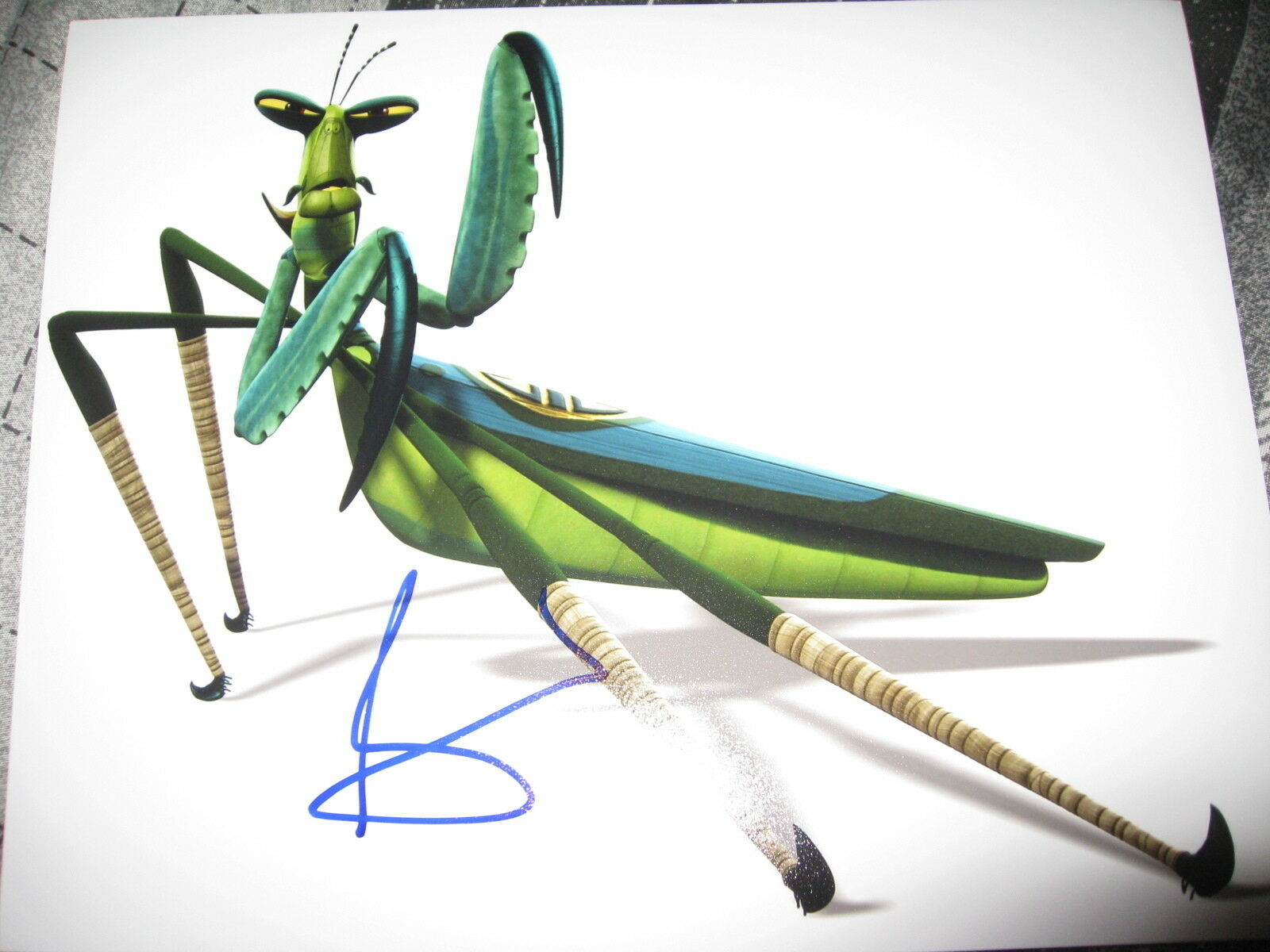 SETH ROGEN SIGNED AUTOGRAPH 8x10 PHOTO MONSTERS ALIENS IN PERSON COA G ...