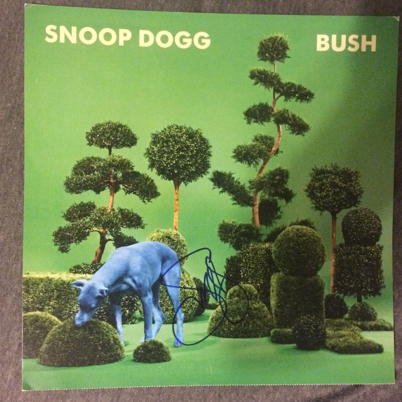Snoop Dogg Signed Autographed Bush Record Album Cover 12x12 Poster ...