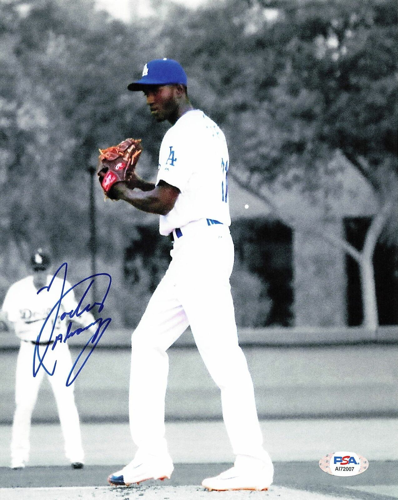 YADIER ALVAREZ signed 8x10 photo PSA/DNA Los Angeles Dodgers ...