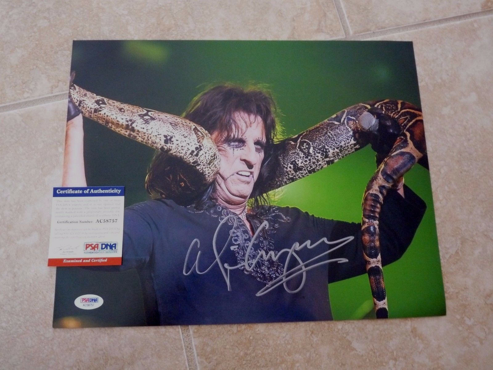 Alice Cooper Full Signature Snake Signed Autograph 11x14 Photo PSA ...