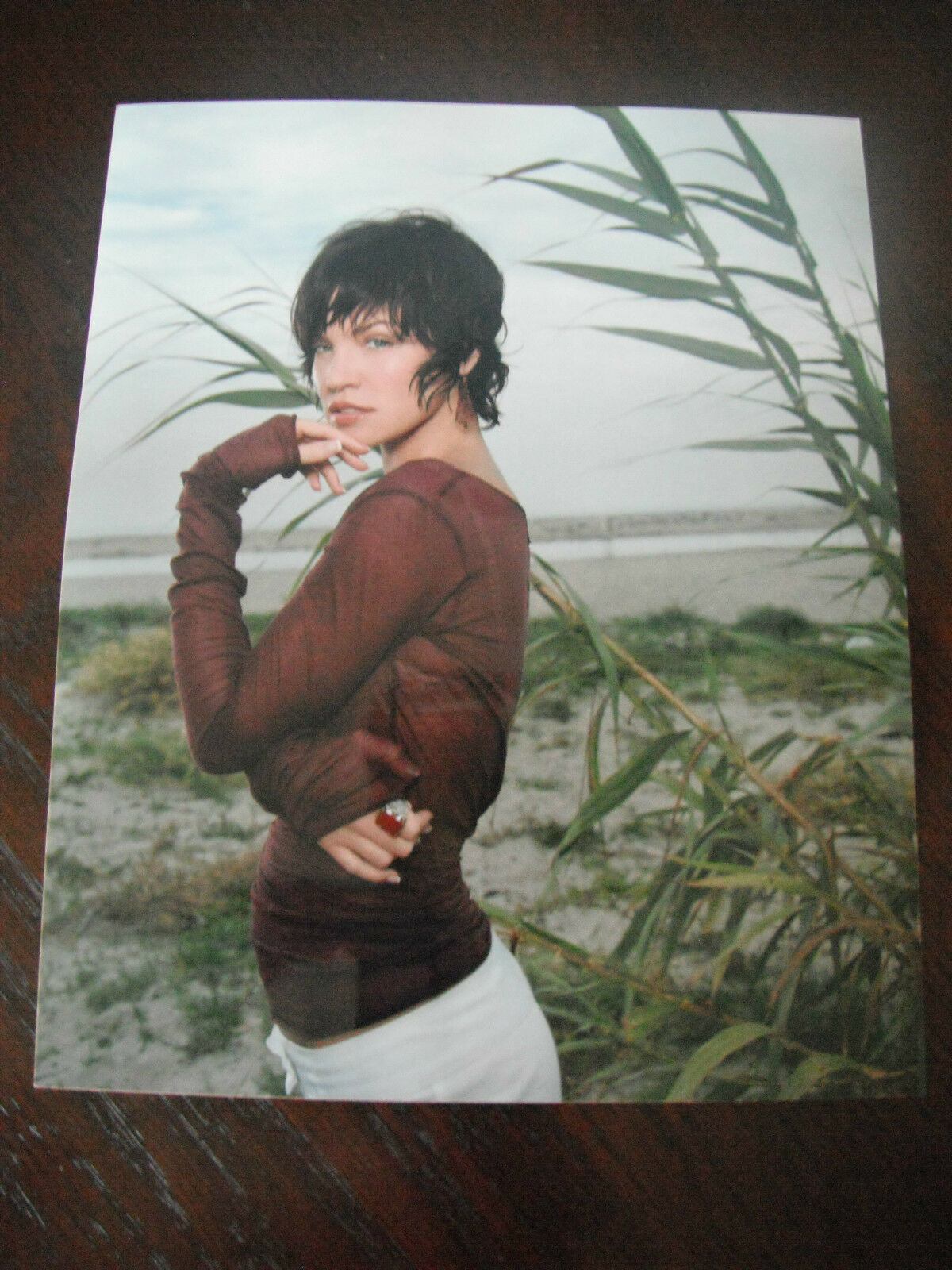 Ashley Scott Color 8x10 Promo Photo Picture | Autographia