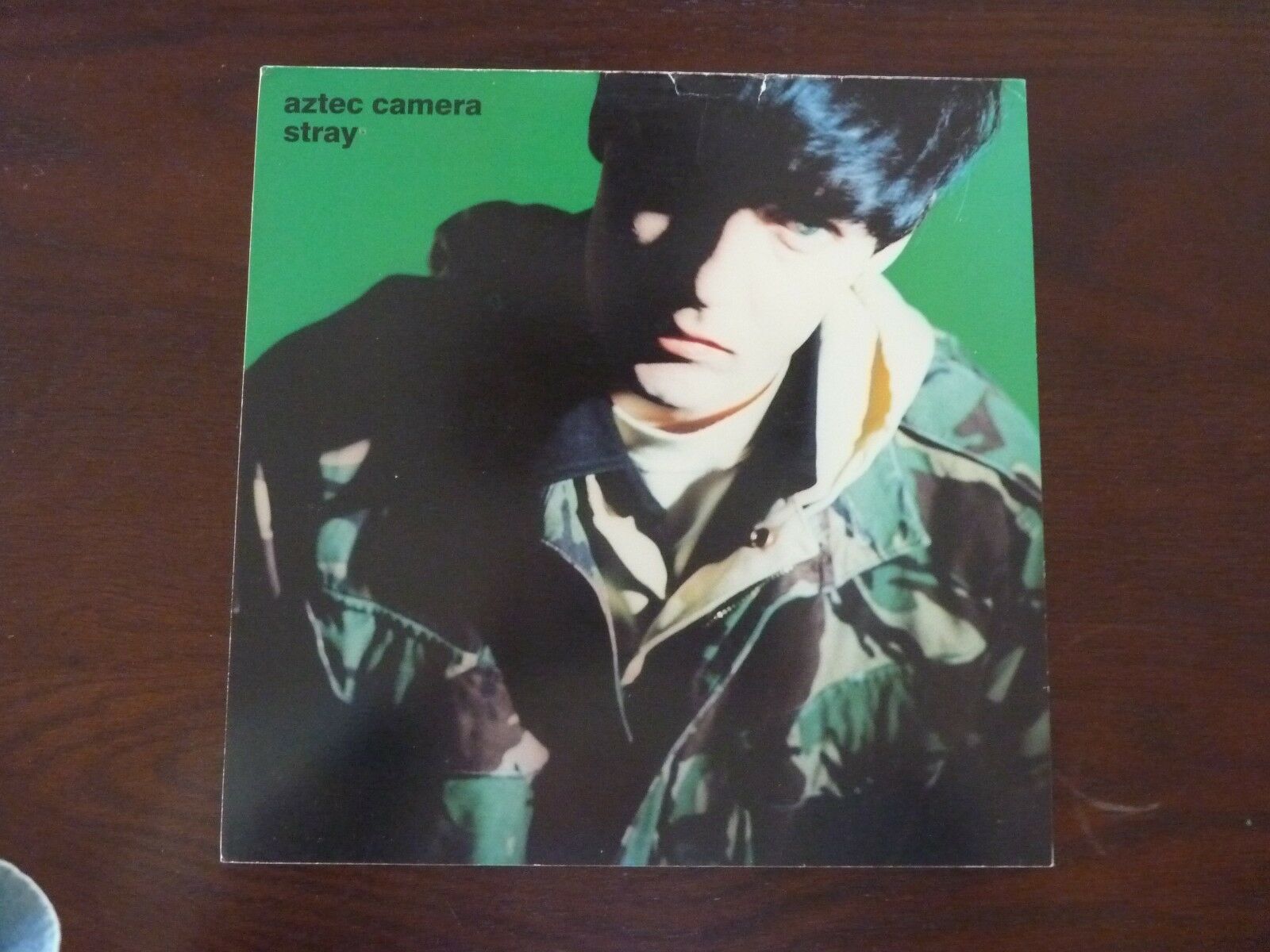 Aztec Camera Stray Promo LP Record Photo Flat 12x12 Poster | Autographia
