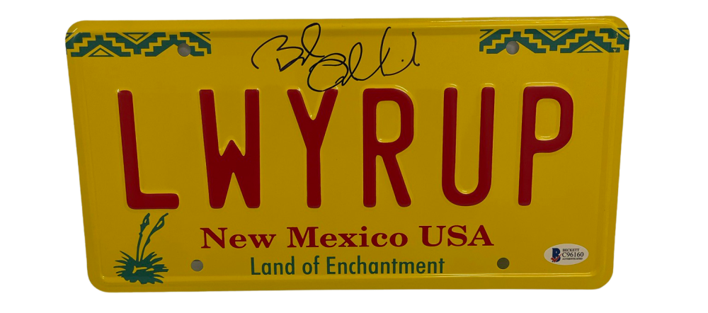 BOB ODENKIRK SIGNED LICENSE PLATE LWYERUP BREAKING BAD AUTOGRAPH ...