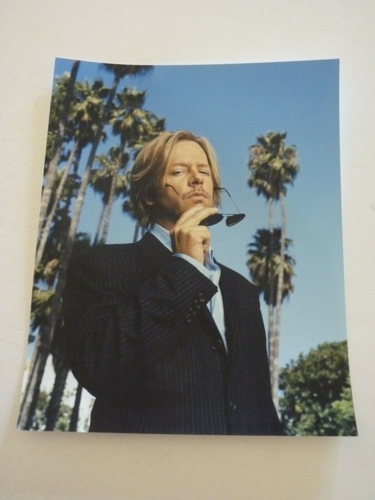 David Spade Actor 8x10 Color Promo Photo | Autographia