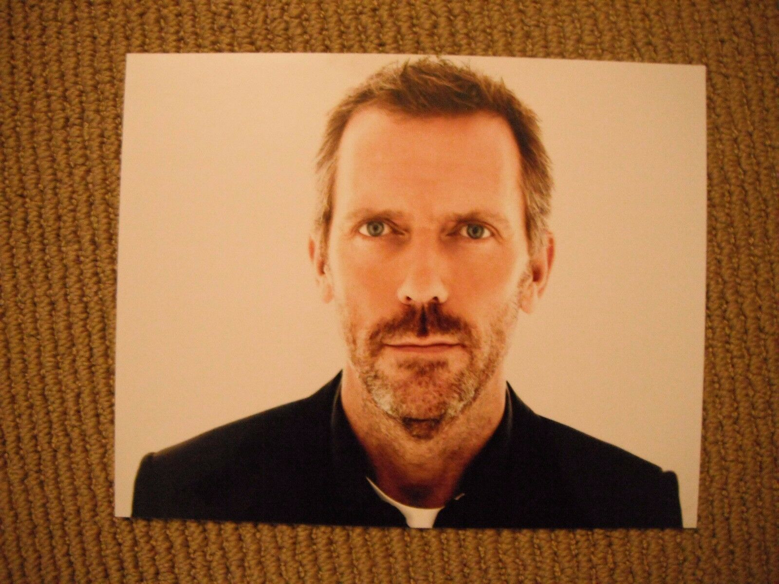 Hugh Laurie Color 8x10 Photo House Actor | Autographia