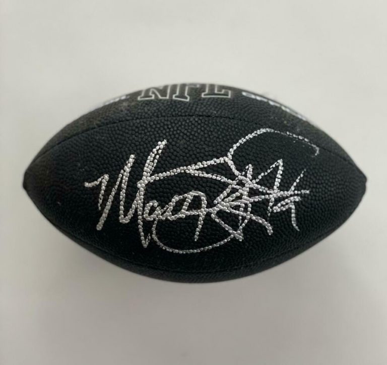 MATTHEW STAFFORD SIGNED AUTOGRAPH MINI FOOTBALL - DETROIT LIONS ...