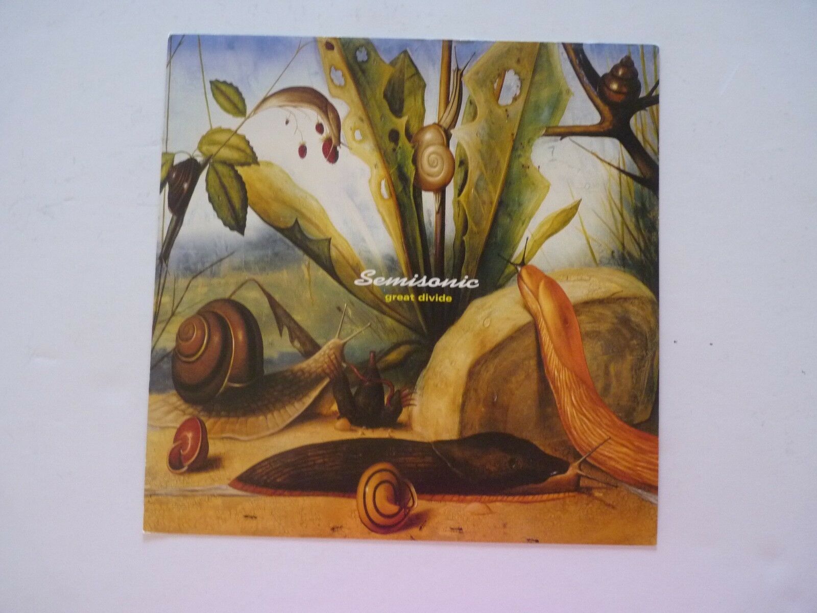 Semisonic Great Divide LP Record Photo Flat 12x12 Poster | Autographia