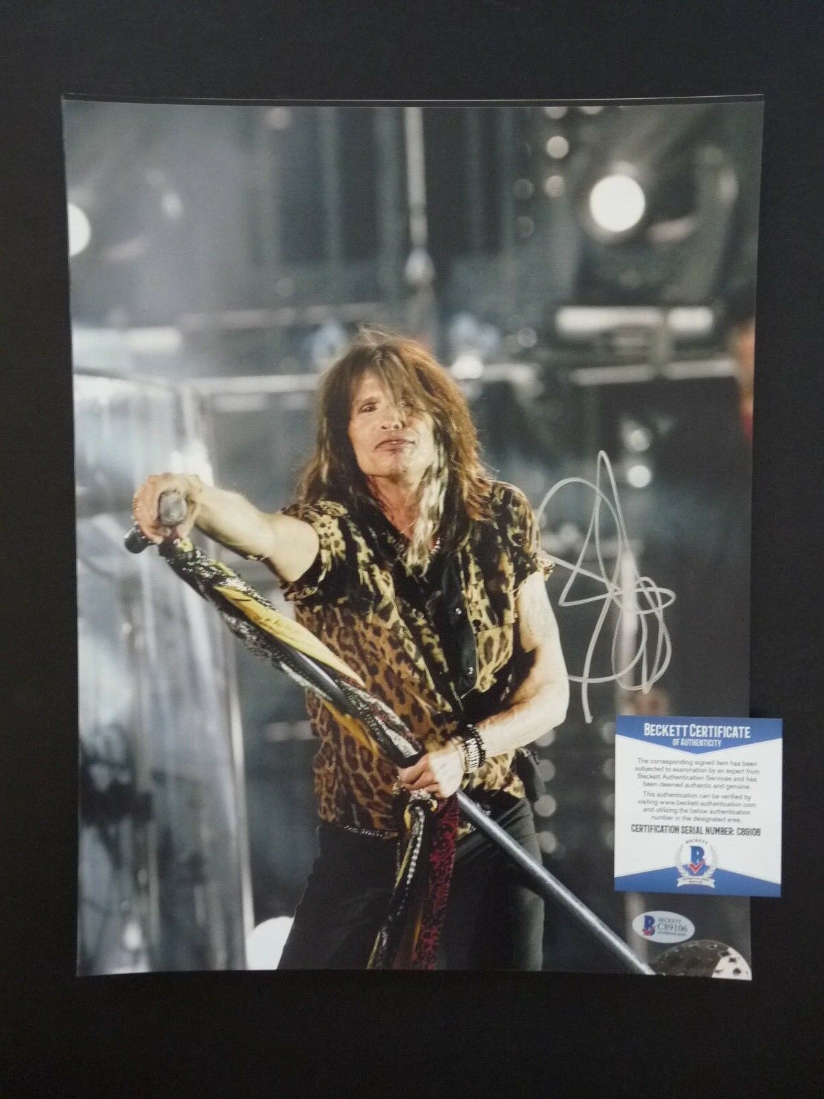 Steven Tyler Aerosmith Sexy Signed Autographed 11x14 Photo BAS ...