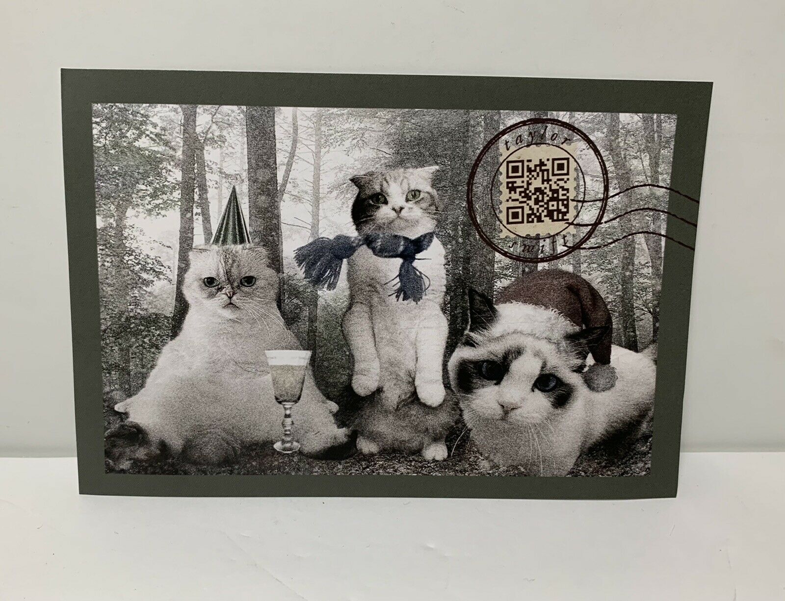 Taylor Swift Holiday Postcard 2020 Cats Meredith Olivia Benjamin ...