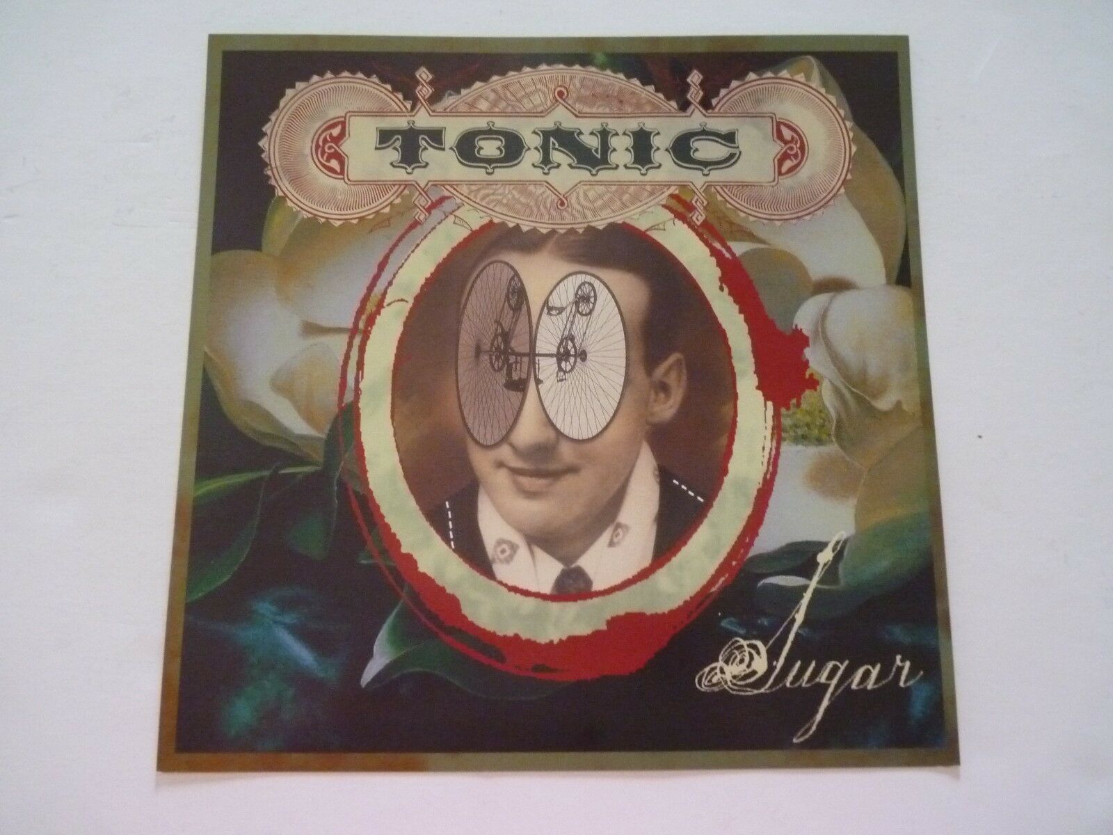 Tonic Sugar LP Record Photo Flat 12X12 Poster | Autographia