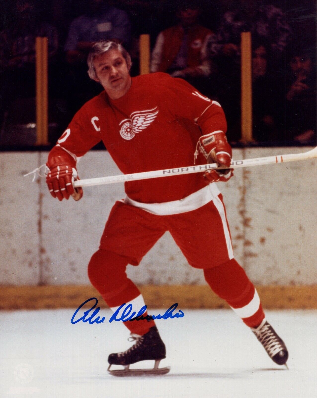 ALEX DELVECCHIO HAND SIGNED 8x10 COLOR PHOTO+COA DETROIT RED WINGS ...