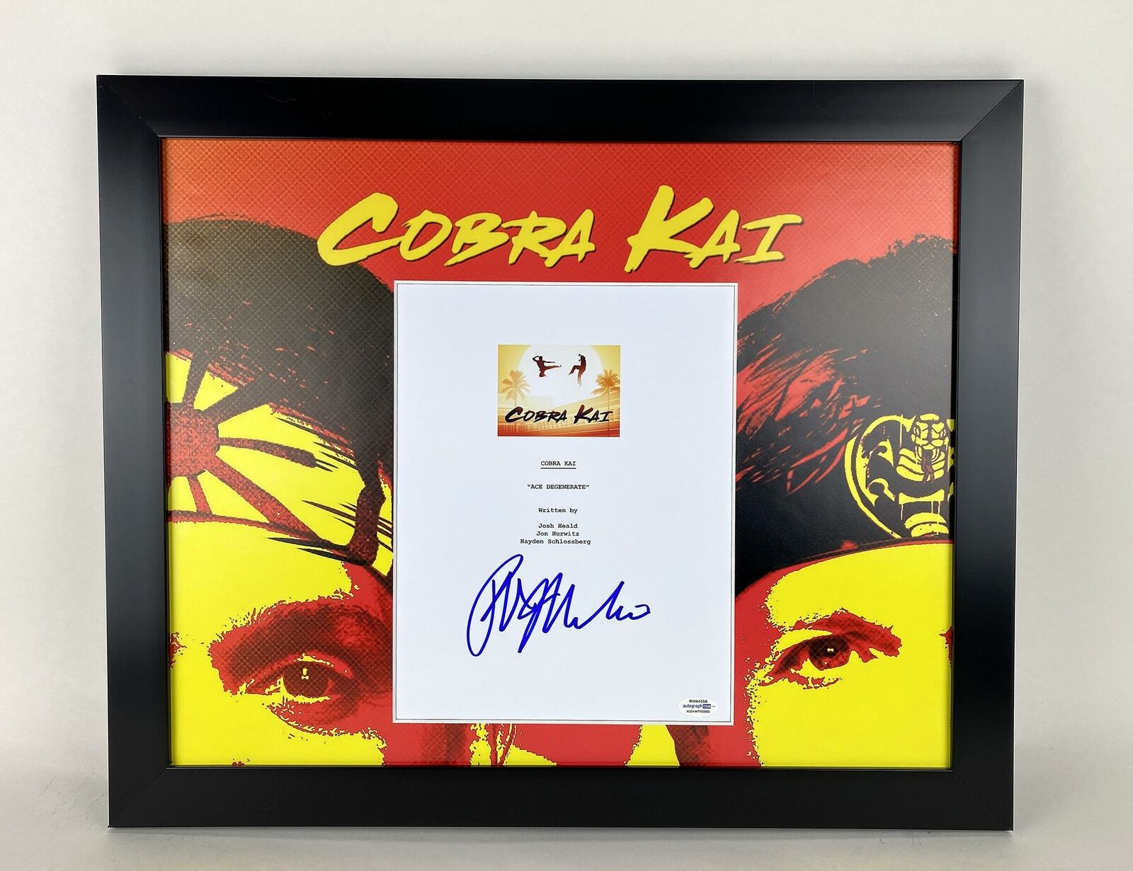 Cobra Kai Ralph Macchio Karate Kid Autographed Signed 16x20 Photo ...