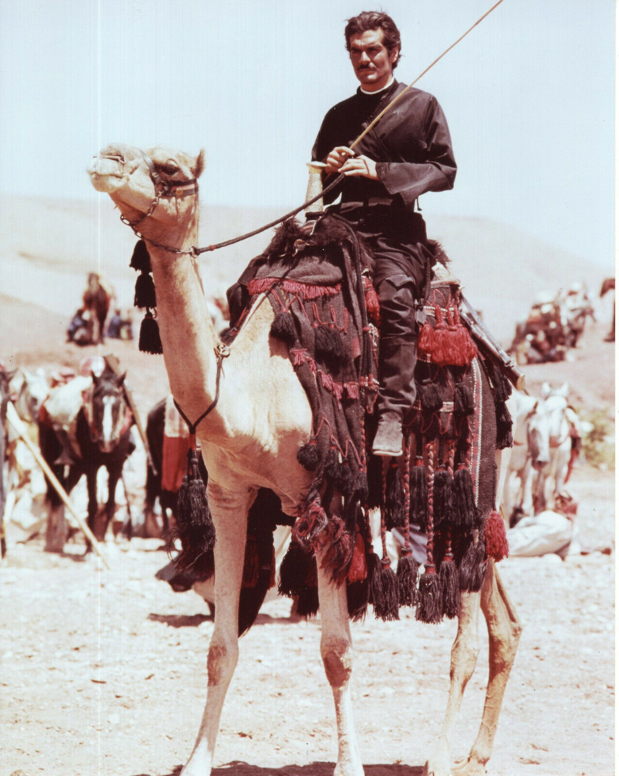 OMAR SHARIF UNSIGNED 8x10 COLOR PHOTO BEST POSE EVER LAWRENCE OF ARABIA ...