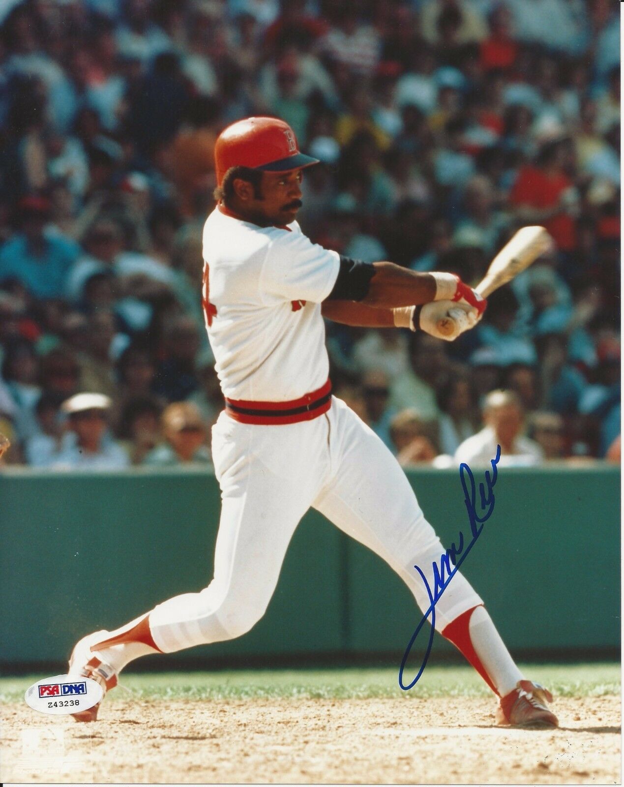 JIM RICE Signed Boston Red Sox 8x10 PHOTO with PSA COA | Autographia