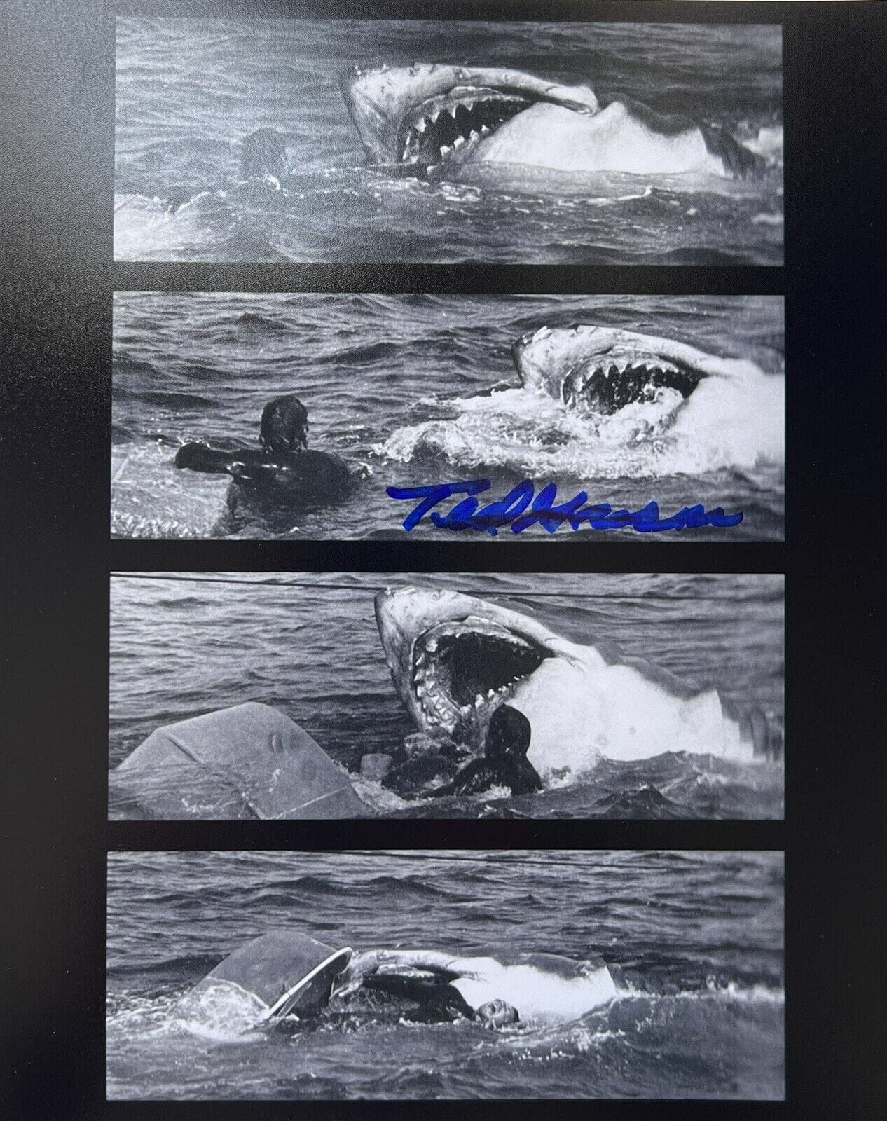 Ted Grossman Estuary Victim Jaws SIGNED 8x10 Steven Spielberg K9 COA w PROOF Opens in a new ...