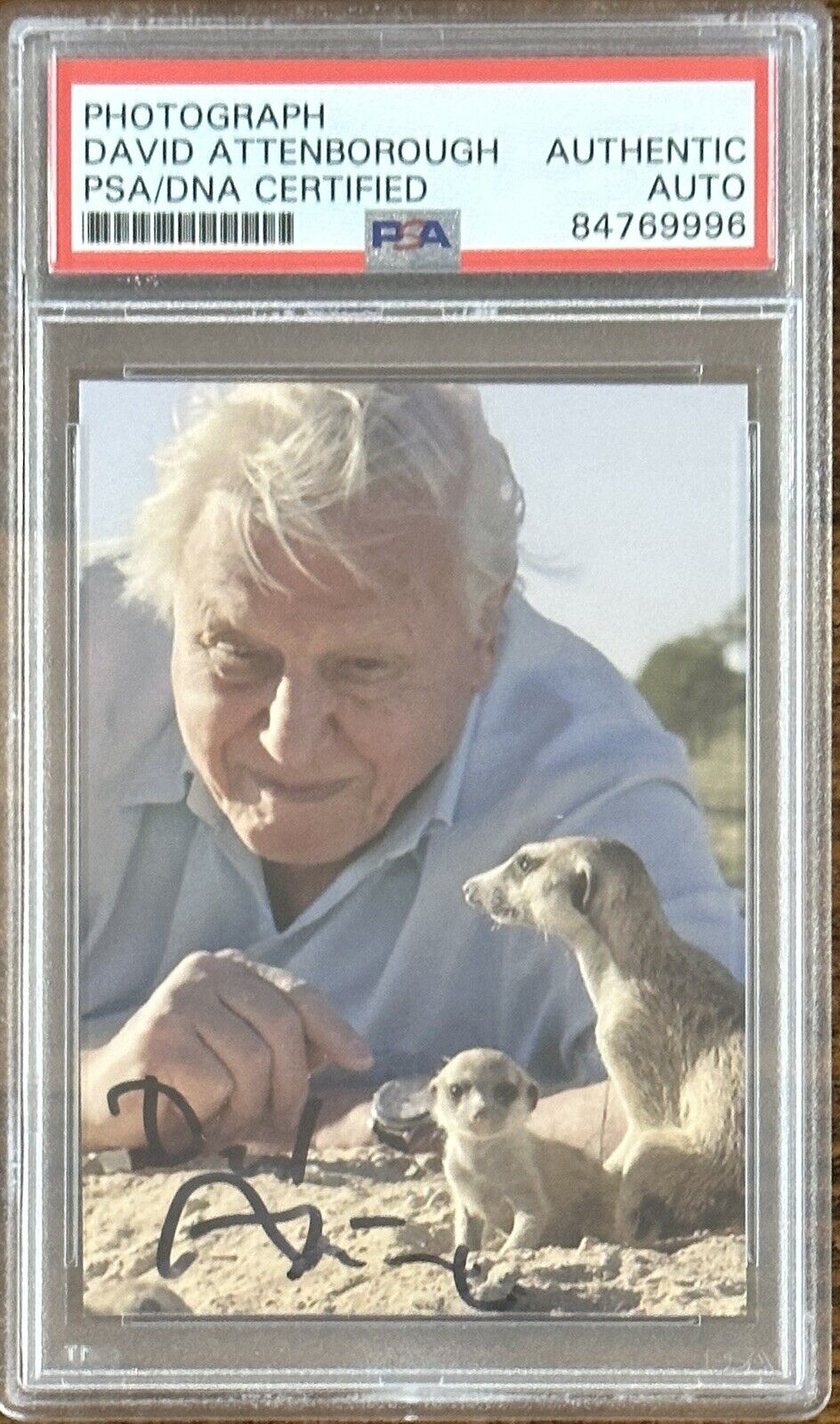 BBC PLANET EARTH DAVID ATTENBOROUGH SIGNED PHOTOGRAPH AUTOGRAPH PSA DNA ...
