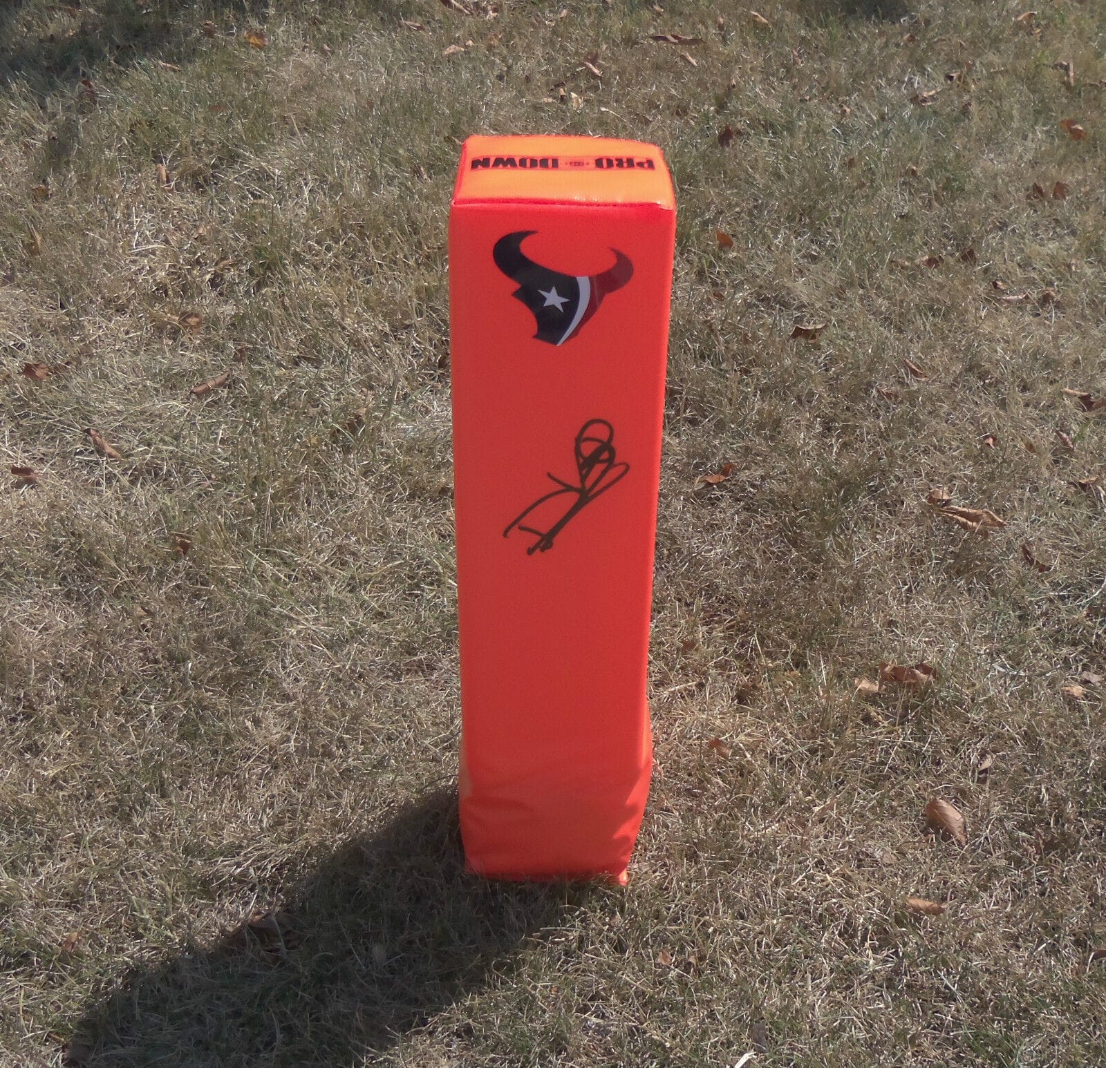 Houston Texans #11 DEVIER POSEY Signed Autographed Football Pylon COA ...