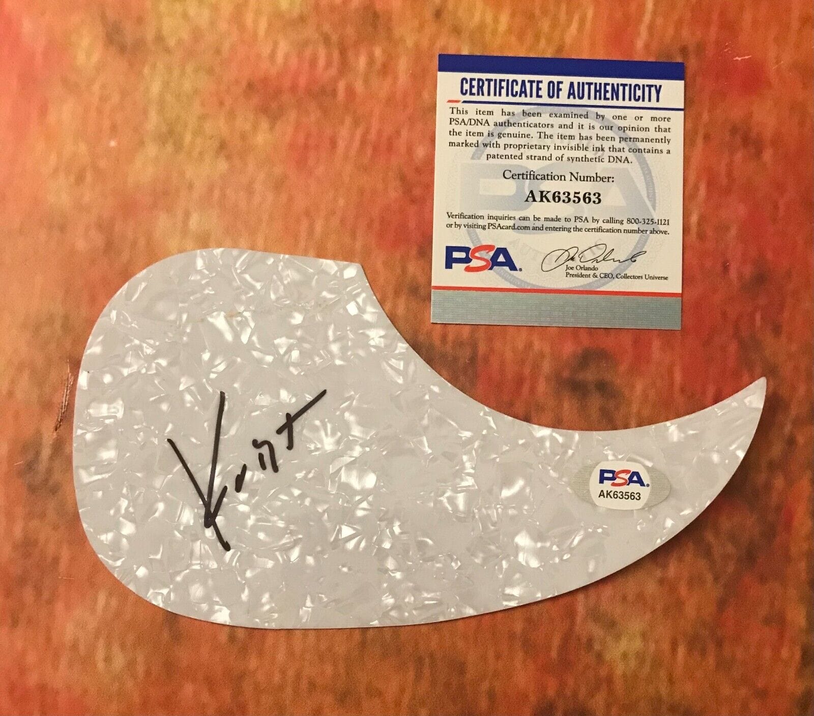 PSA Nirvana Band Bassist * KRIST NOVOSELIC * Signed Acoustic Pickguard ...