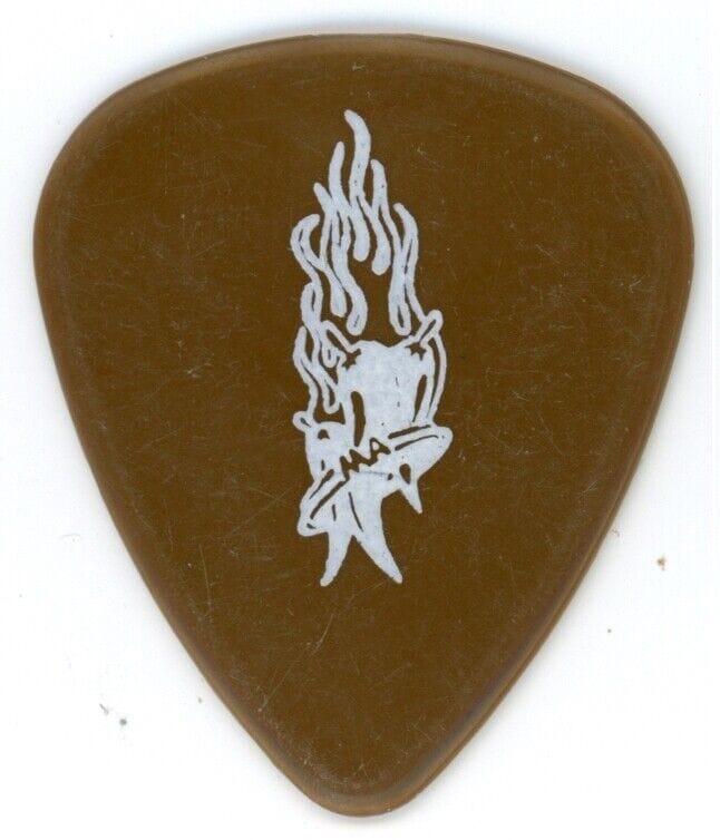 Van Halen Michael Anthony 2002 Tour Dunlop Brown V2 (Solid Pepper ...