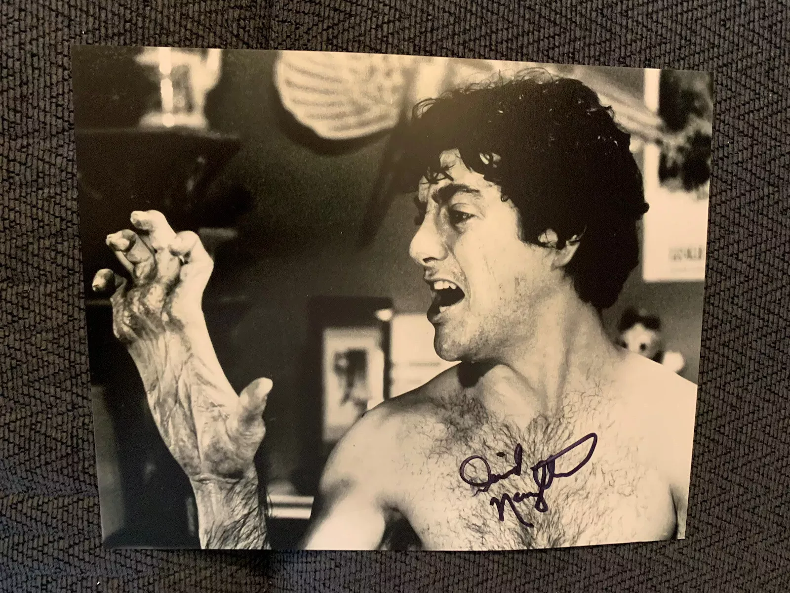 David Naughton Signed 8 X 10 Photo Autographed An American Werewolf In ...