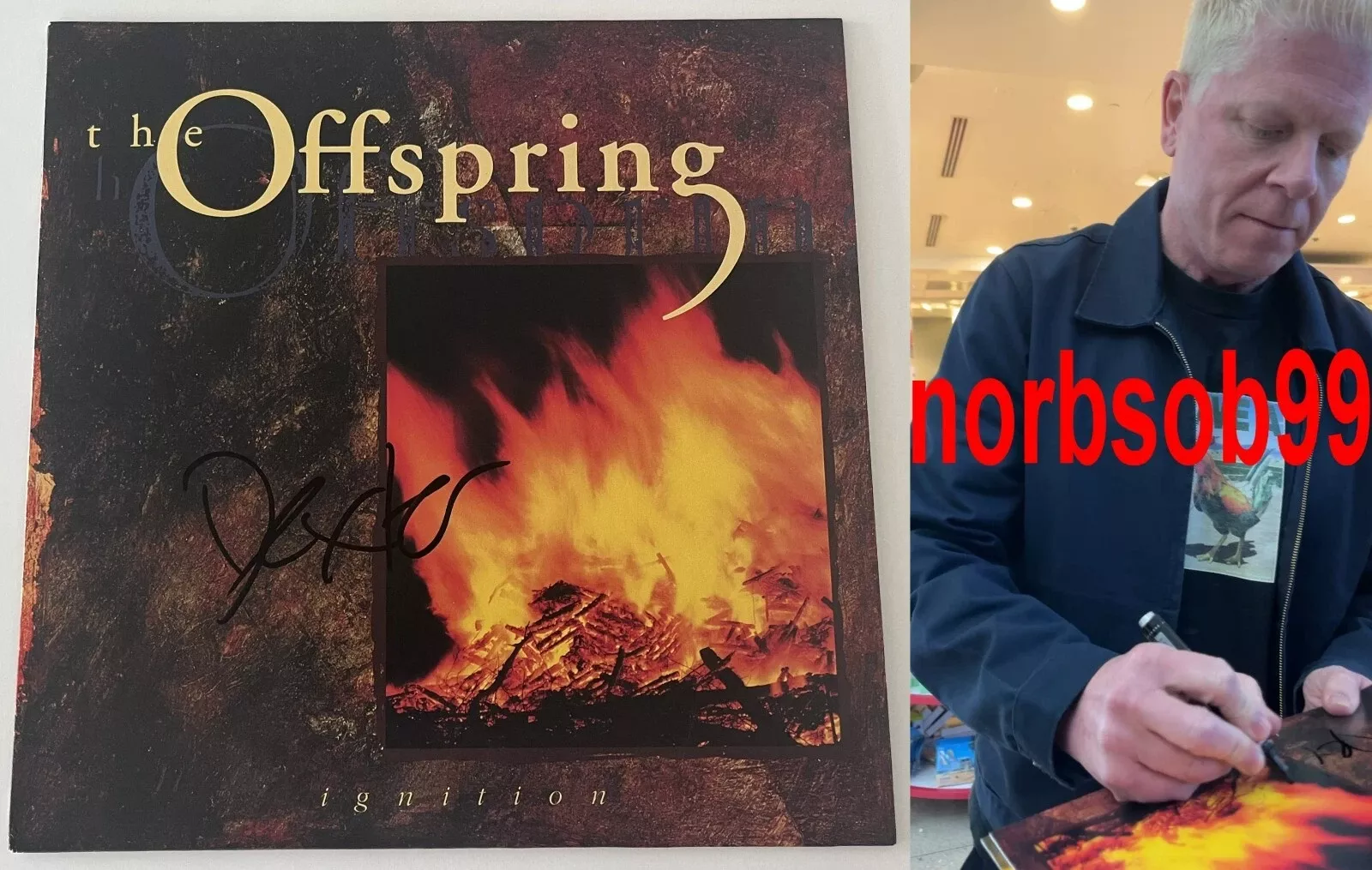 DEXTER HOLLAND SIGNED THE OFFSPRING IGNITION VINYL w/VIDEO PROOF ...
