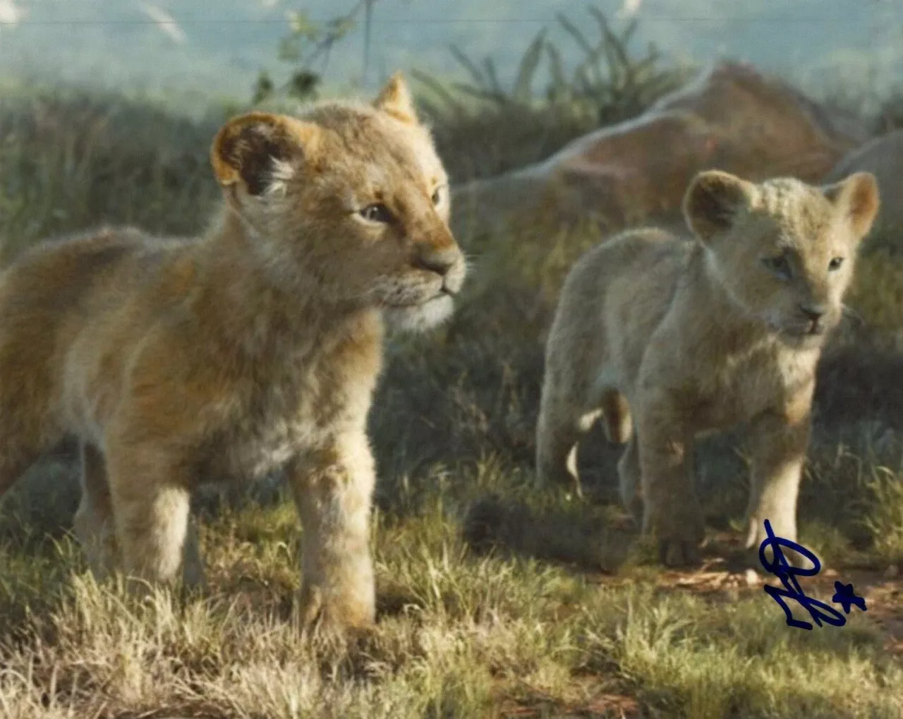 JD McCrary Signed Autographed 8x10 Photo The Lion King 2019 Young Simba ...